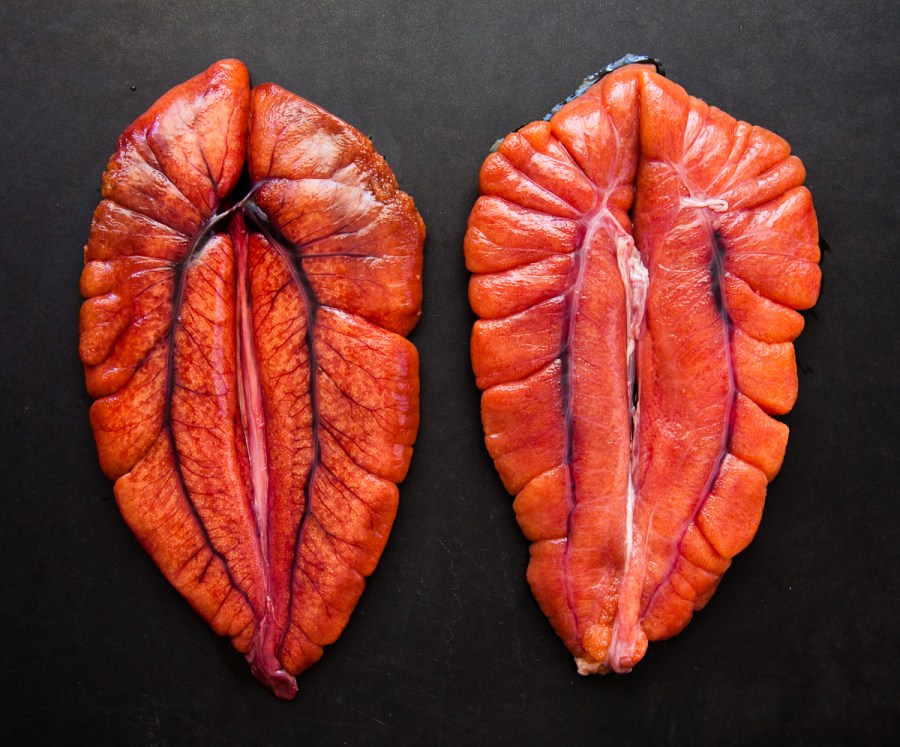 George Washington Ate Here – Shad Roe with Brown Butter, Capers and ...