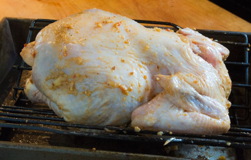 Roast Chicken with Muhammara | The Garum Factory