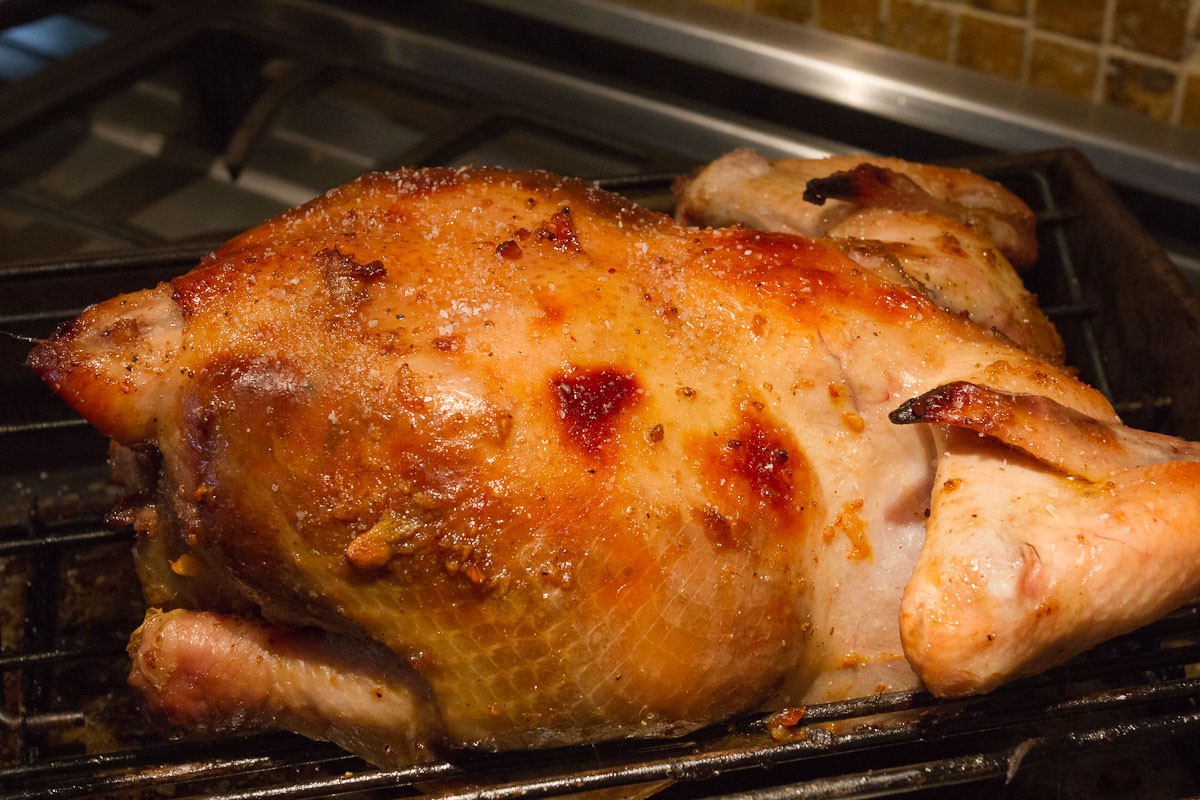 Roast Chicken with Muhammara | The Garum Factory
