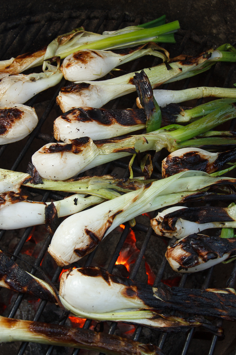 A patio of one’s own – Grilled Spring Onions with Romesco | The Garum ...