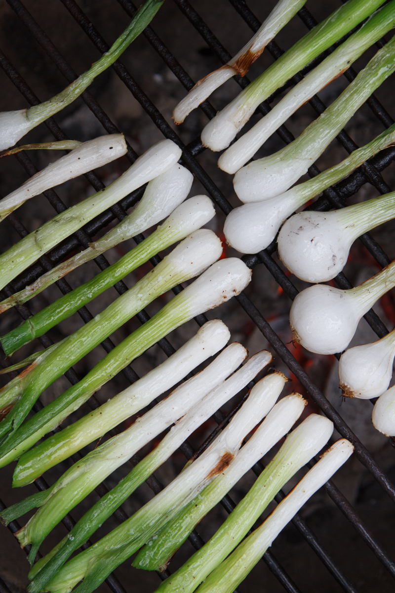 Grilled Spring Onion and Strawberry Salad with Pistachio Pesto | The ...