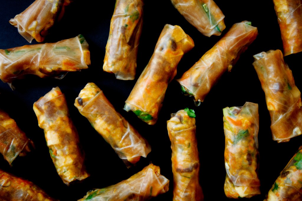 Bicycle Spring Rolls | The Garum Factory